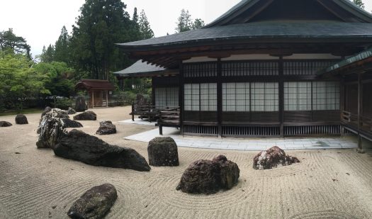 Training – Shaolin Kung Fu – 少林五家拳