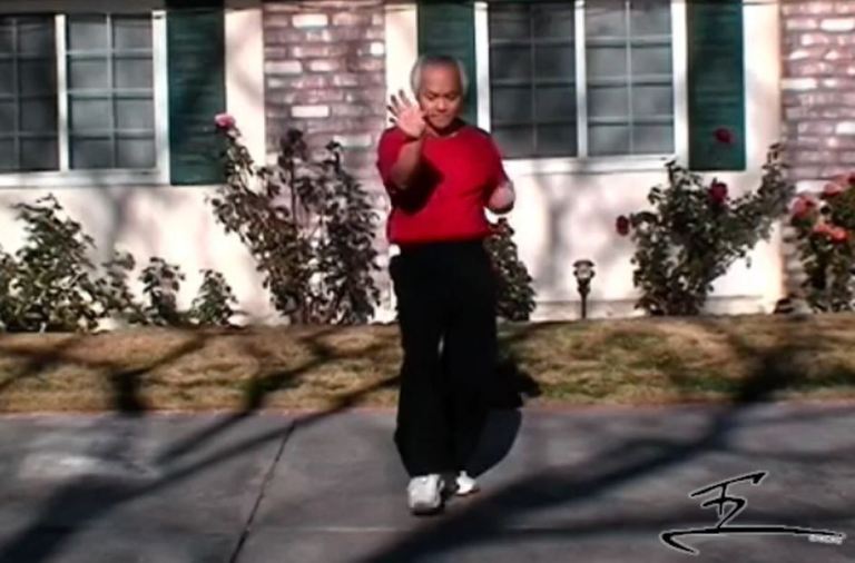 Shaolin Kung Fu – 少林五家拳 – Southern Shaolin 5-Family Kung Fu – Fut, Hung ...