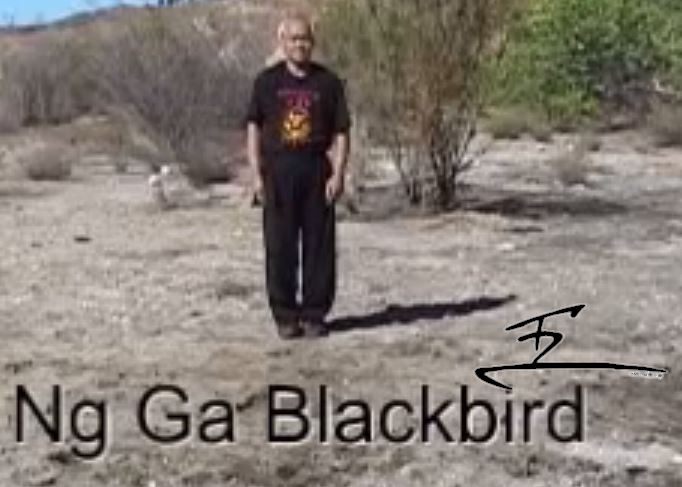 Black Bird Form – Shaolin Kung Fu – 少林五家拳