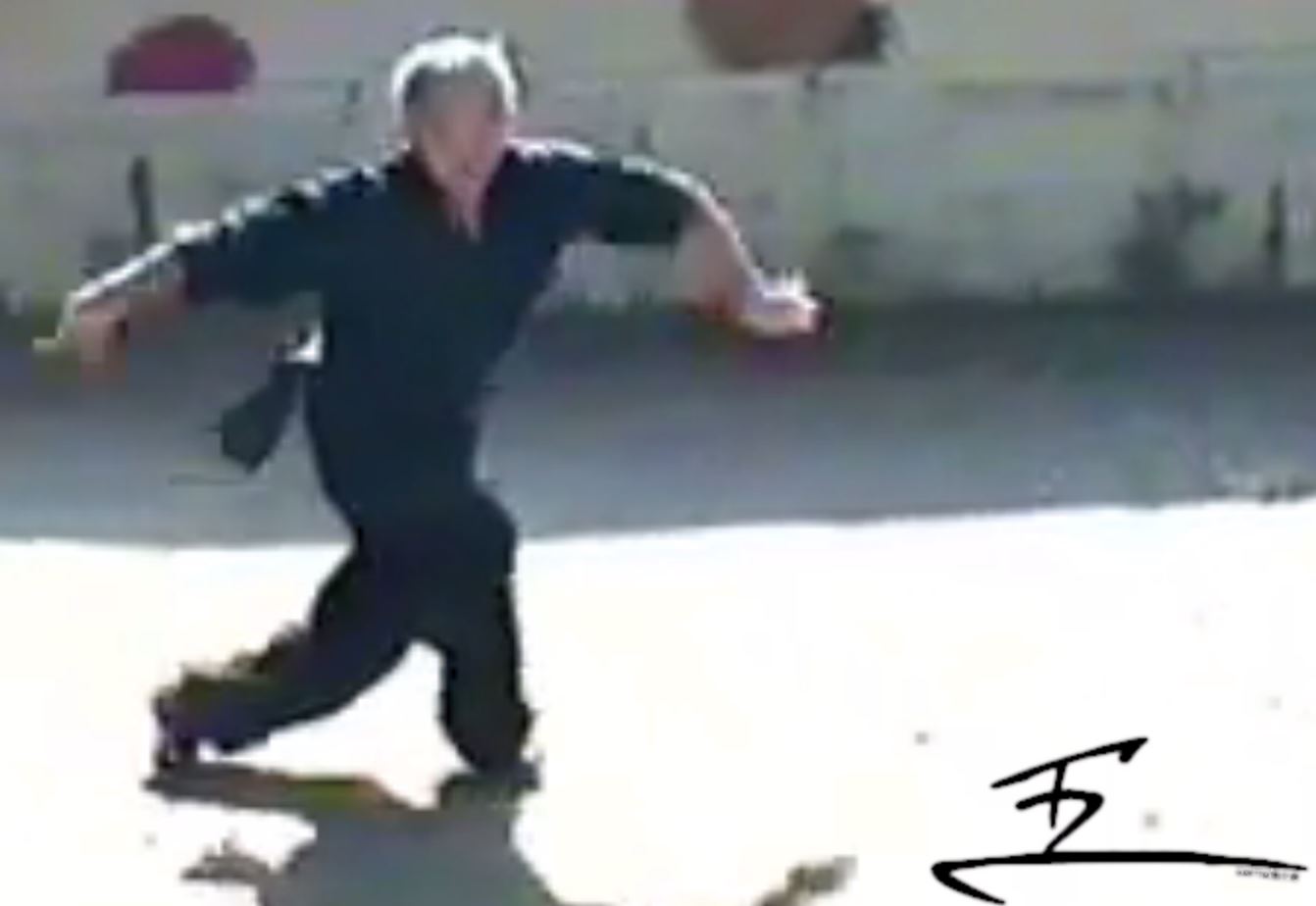 Combination Form – Shaolin Kung Fu – 少林五家拳