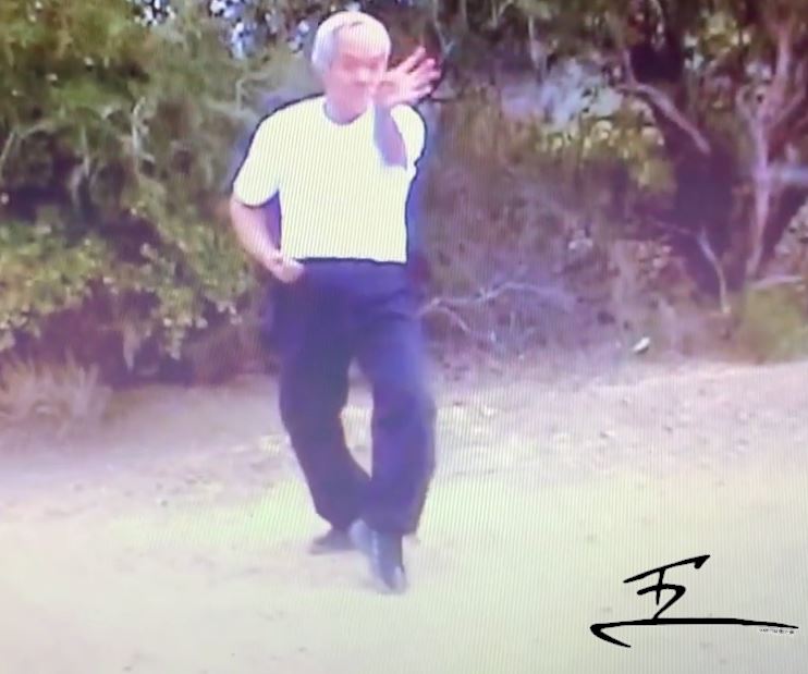 Small Cross Form – Shaolin Kung Fu – 少林五家拳