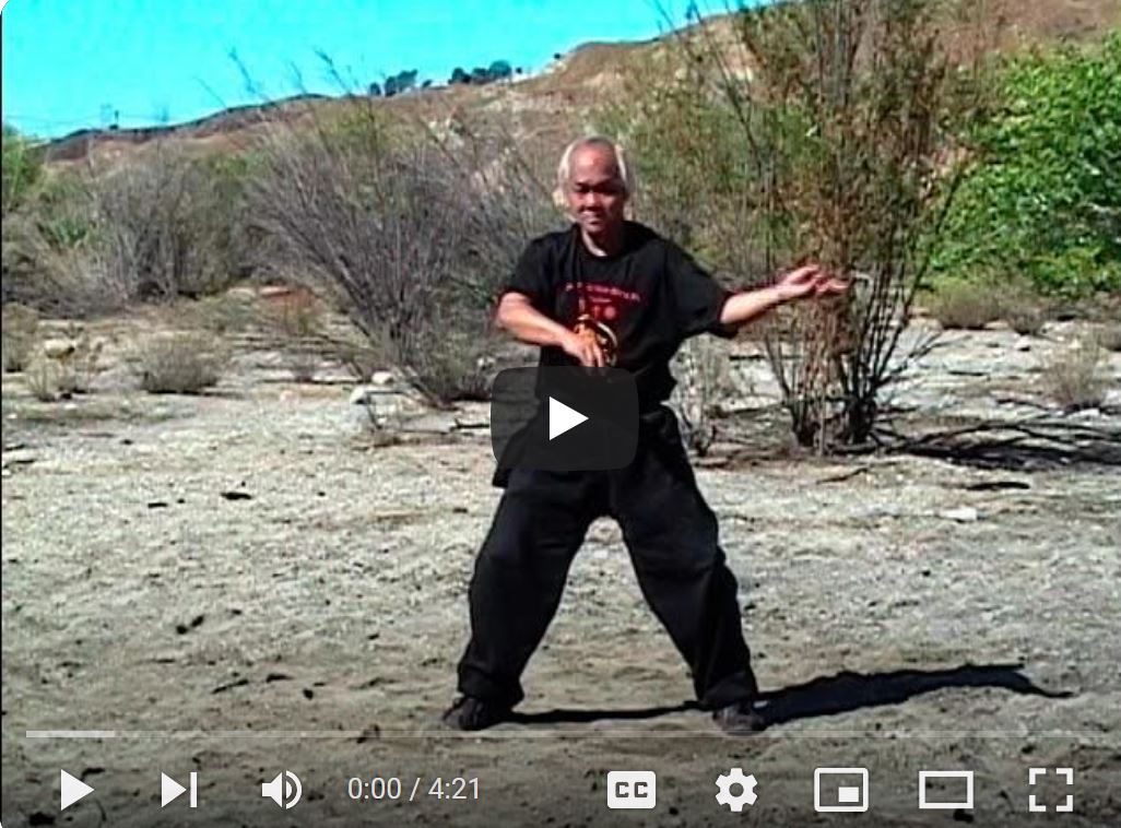 Training – Fundamentals – Shaolin Kung Fu – 少林五家拳