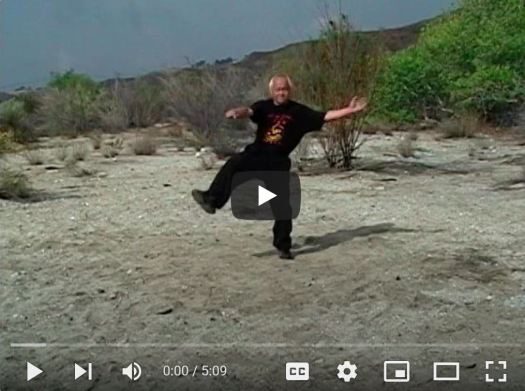 Training – Fundamentals – Shaolin Kung Fu – 少林五家拳