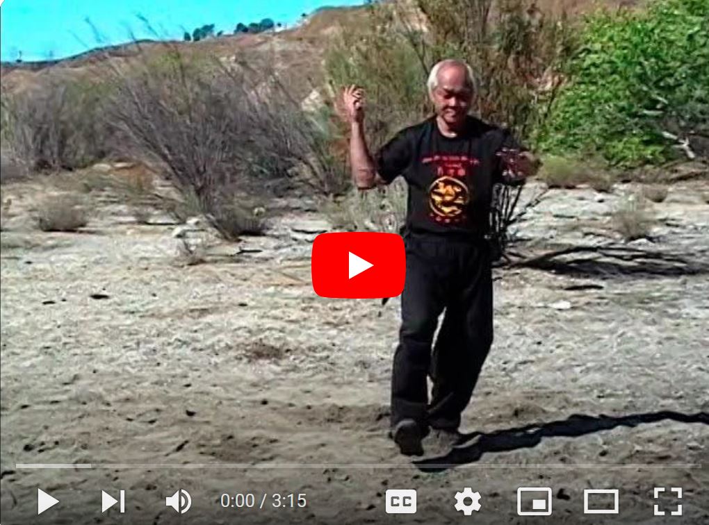Training – Fundamentals – Shaolin Kung Fu – 少林五家拳