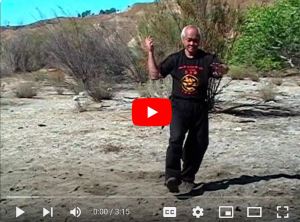 Training – Fundamentals – Shaolin Kung Fu – 少林五家拳