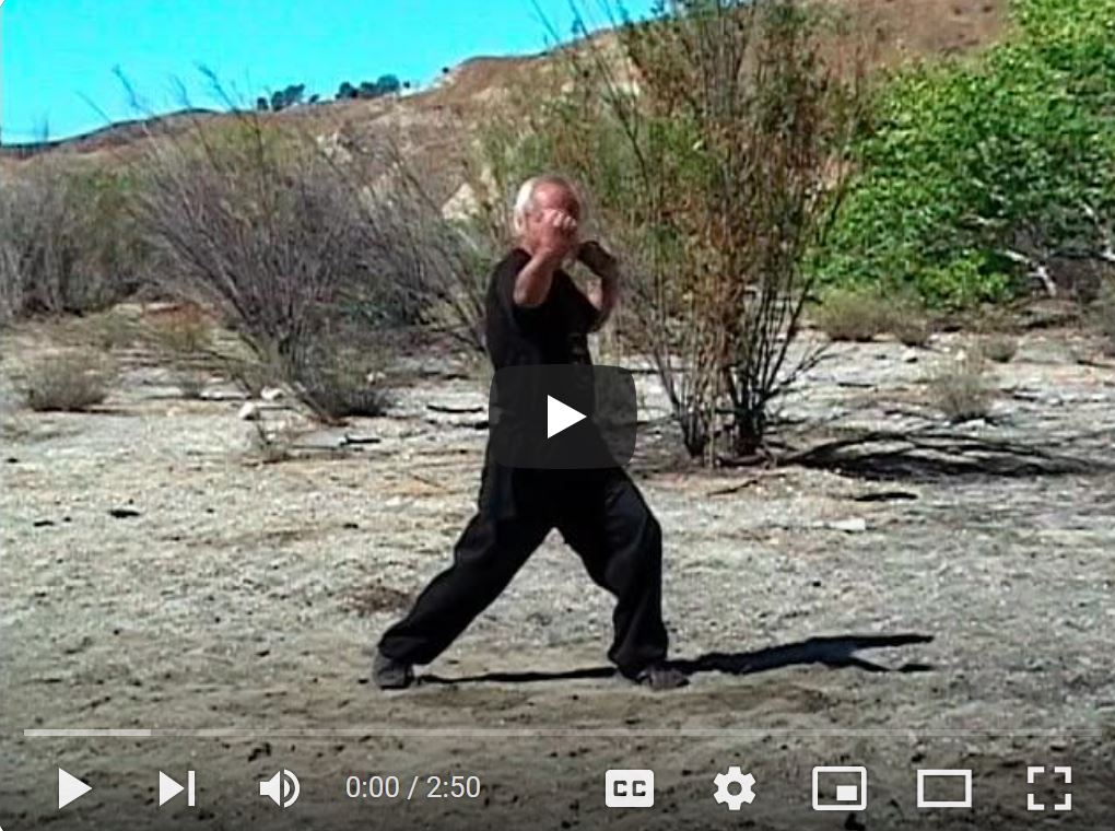 Butterfly Form – Shaolin Kung Fu – 少林五家拳