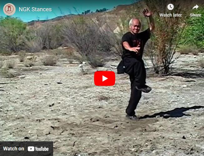 Training – Fundamentals – Shaolin Kung Fu – 少林五家拳