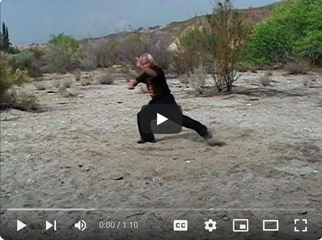 Training – Fundamentals – Shaolin Kung Fu – 少林五家拳