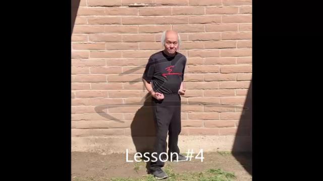 Free Introduction Course – Shaolin Kung Fu – 少林五家拳